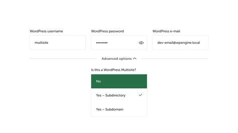 How To Install Wordpress Multisite With Local Builders