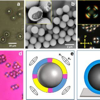 Core Shell Microparticles Prepared By Evaporating Thin Films A Light Download Scientific