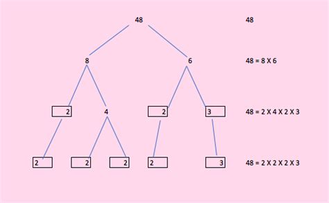 Prime Factorization Of Number