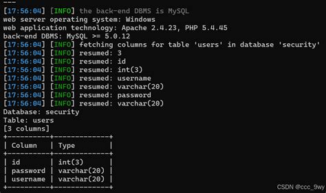 sql labs靶场第十关测试报告 sqlilabs第十关 csdn博客