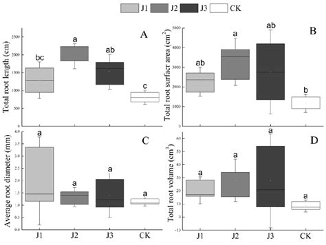 The Root Growth Parameters Of R Pseudoacacia Measured With Winrhizo