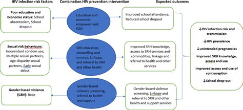 Conceptual Framework Of The Combination Hiv Prevention Intervention To Download Scientific