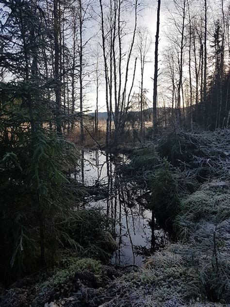 Nature Norway Landscape - Free photo on Pixabay - Pixabay