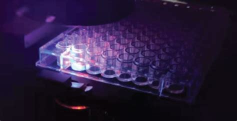 Ping Lab Nano Biointerface And Applications