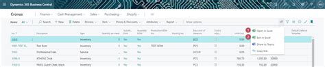 business central and excel viewing and editing features forvis mazars