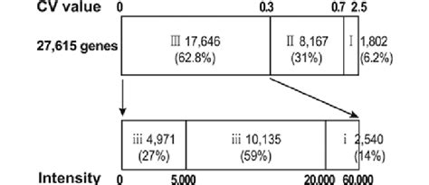 Top The Coefficient Of Variation Cv Is The Ratio Of The Standard Download Scientific