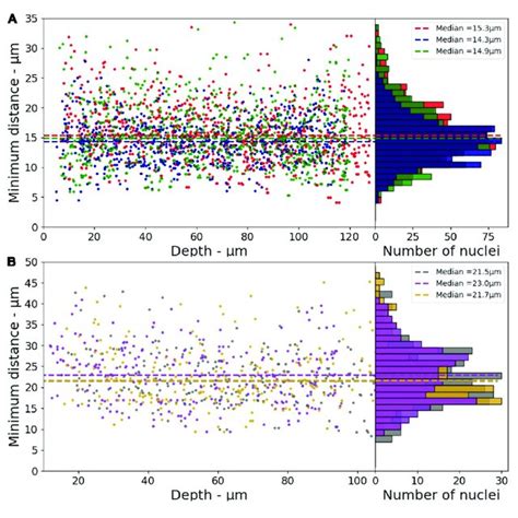minimum distance between two nuclei as a function of depth for