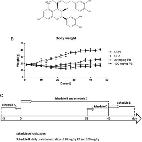 A Chemical Structure Of Procyanidin B2 B Body Weight N 12 In