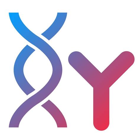 Xx Chromosome Vectors And Illustrations For Free Download Freepik