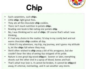 Sentences With Chip Archives English Grammar Here