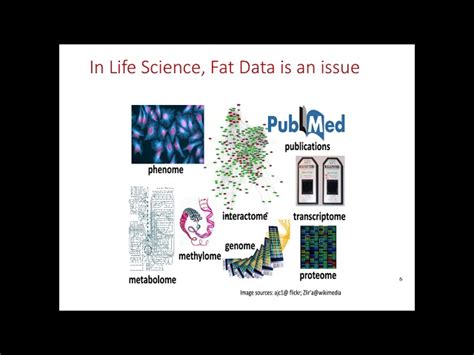 How Machine Learning Is Helping Us Understand Complex Biological Data Reasontown