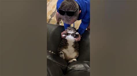 Grumpy Kitty Gets A Kiss Viralhog Youtube
