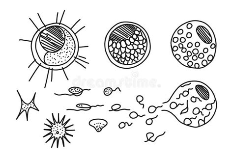 Monads Stock Illustrations 6 Monads Stock Illustrations Vectors