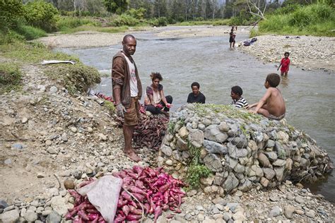 Pap 1342 Luc Van Der Biest Flickr