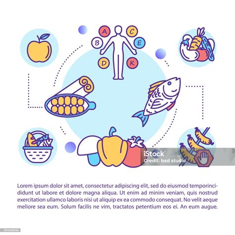 텍스트와 건강 한 영양 개념 아이콘입니다 균형 잡힌 식단 식습관 채식주의 Ppt 페이지 벡터 템플릿입니다 브로셔 잡지 선형 일러스트가 있는 소책자 디자인 요소 0명에 대한