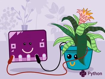 Python Programming Python Smart Garden Dt Challenge Tpt