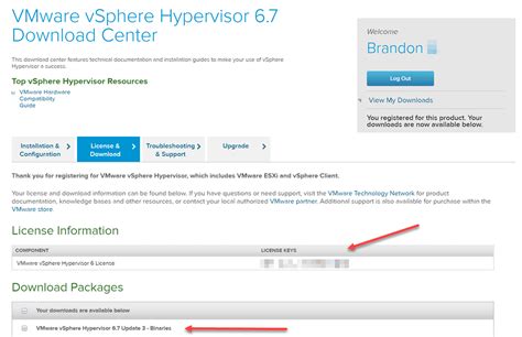 Vmware Esxi Free Download Configuration And License Virtualization Howto