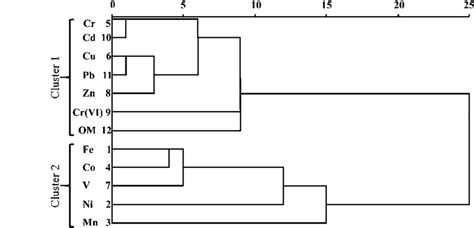 Dendrogram Showing Hierarchical Cluster Analysis Results With A Download Scientific Diagram