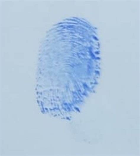 Solved Using MATLABQ Using Your Fingerprint Image Do The Chegg