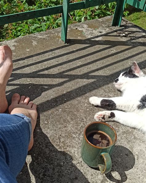 Французька онлайн для дорослих Від 0 до B2 Тетяна Химич 🇺🇦 Привіт