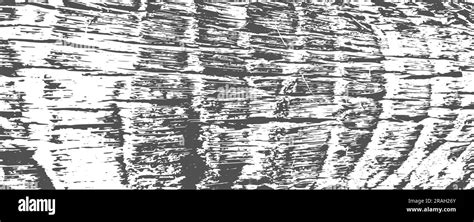 Grunge Coconut Palm Bark Texture Background Adged Tree Stem Log