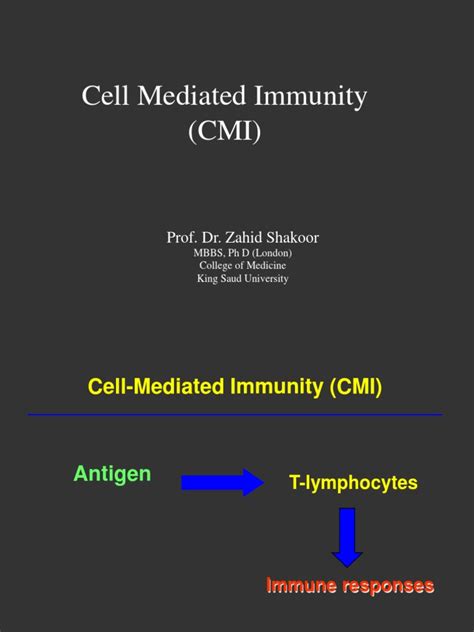 Cell Mediated Immunity Cmi Prof Dr Zahid Shakoor Pdf T Cell Antigen