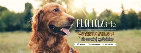 สำนักประชาสัมพันธ์เขต 8 กรมประชาสัมพันธ์ รมว ยุติธรรมเร่งขับเคลื่อน แก้ไขปัญหาหนี้นอกระบบ นาย