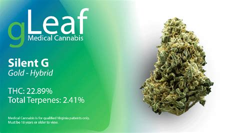 New Gleaf Tiers And New Gleaf Flower Rvirginiammj