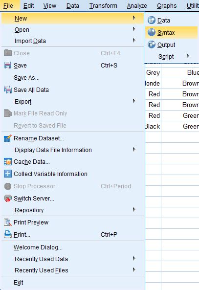 Reflections Of A Data Scientist Frequency And Syntax SPSS