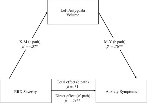 Controlling For Age And Total Intracranial Volume Two Indirect Paths Download Scientific