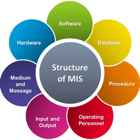 What Is The Difference Between Eis And Dss Pediaacom