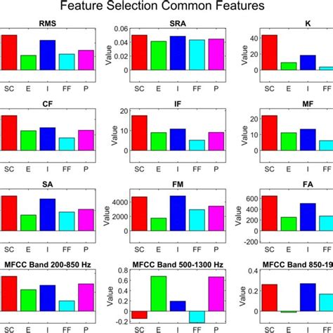 Mean Values Of Acoustic Features Selected By The Feature Selection