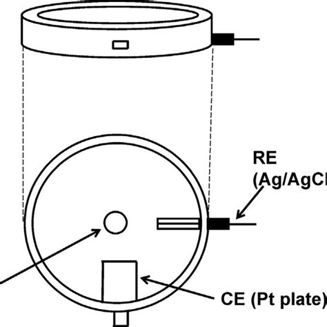 Pdf In Situ Electrochemical Afm Ex Situ Ir Reflection Absorption And