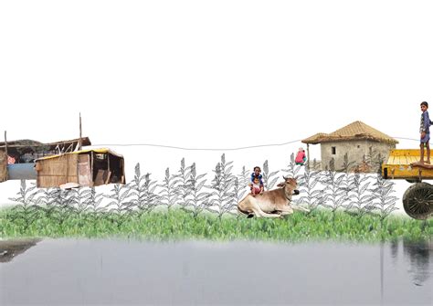 Social Design Collaborative Linkedin