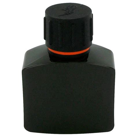 Polo Explorer Cologne For Men By Ralph Lauren