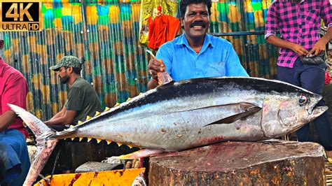 Kasimedu Fish Cutting 🐠🔪🐟 Biggest Yellow Fin Tuna Fish Cutting By