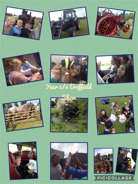 Driffield Farming And Agriculture Day Appleton Primary School Hull