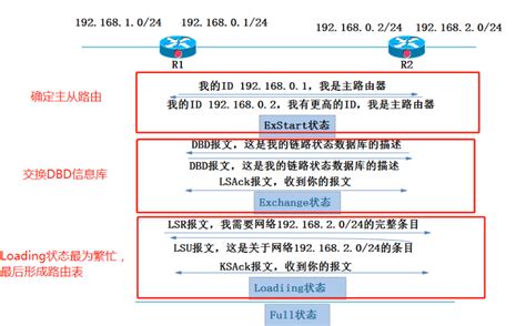 ospf动态路由协议（了解ospf，rip协议，外部网关协议内部网关协议，ospf工作过程，选举过程，ospf邻居关系7个状态） 动态路由外部