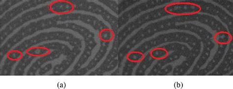 Figure 1 From Selecting A Reference High Resolution For Fingerprint
