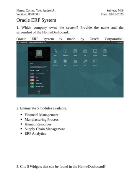 Oracle Erp System Ptask Mis Pdf