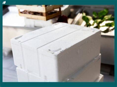 How Long Does Styrofoam Take To Decompose Discover The Truth About Foam