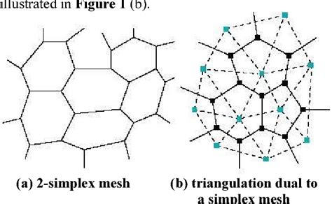 Figure 1 From Comparison Of 3d Deformable Models For In Vivo Measurements Of Mouse Embryo From