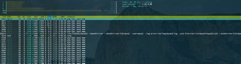h01 adachin server labo