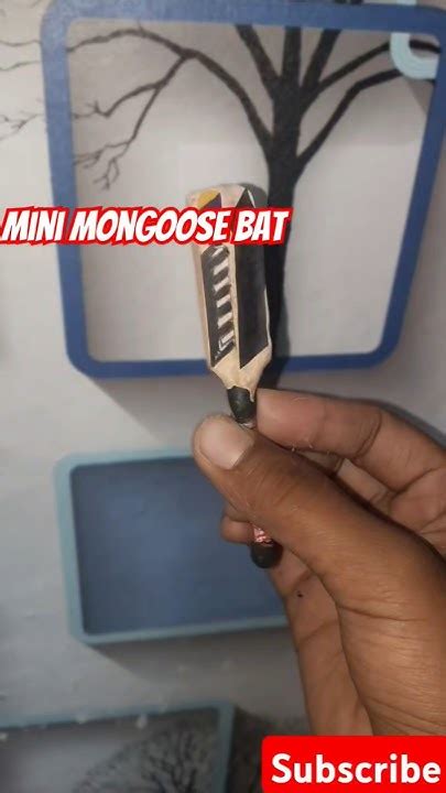 Mini Mongoose Bat Youtube