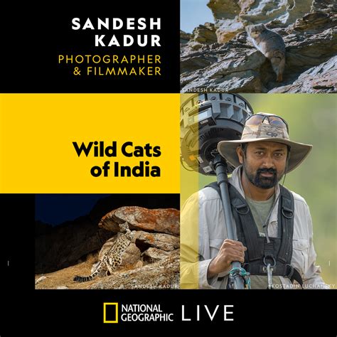 National Geographic Live Presents Wild Cats Of India Sandesh Kadur