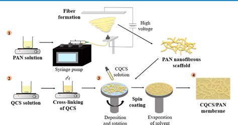 Figure 1 From Development Of Quaternized Chitosan Integrated With