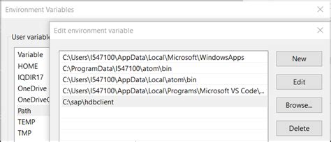 Install The Sap Hana Client Sap Tutorials