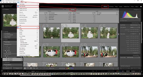 Using The Filter Bar To Make Specific Image Selections Imagen