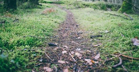 How To Improve Copilots Accuracy In Power Bi Haim Skyjet Posted On The Topic Linkedin