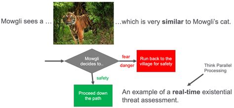 Graph Embedding Understanding Graph Embedding Algorithms